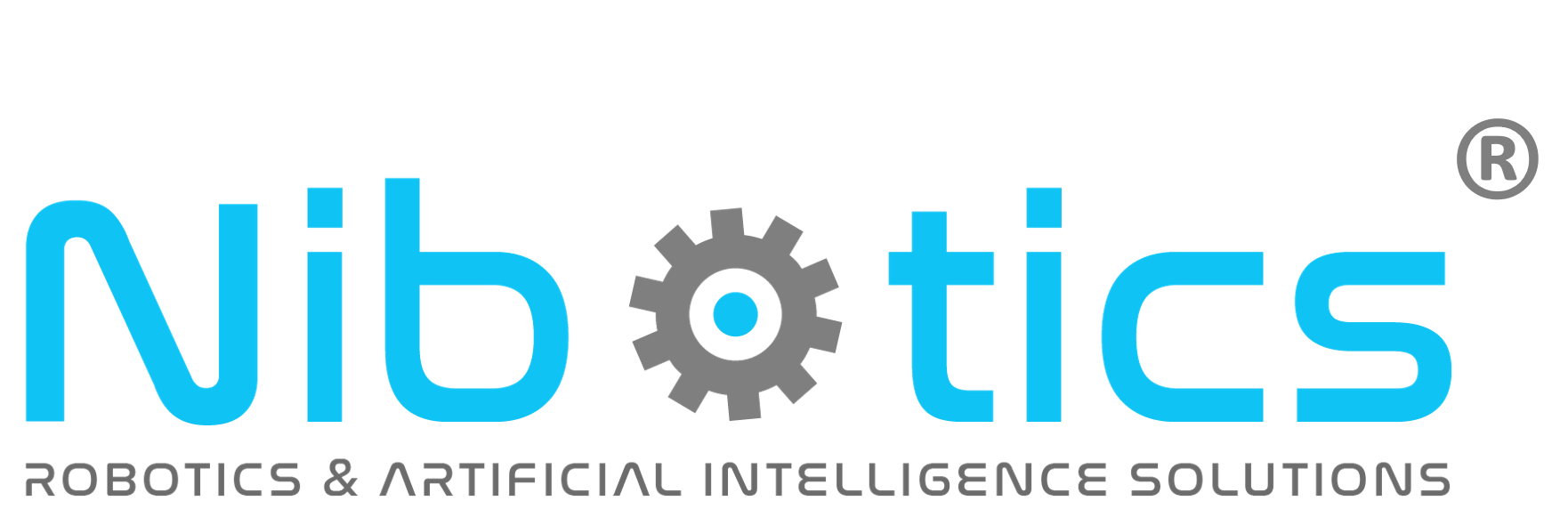 Nibotics – Robotics & Artificial Intelligence (AI) solutions